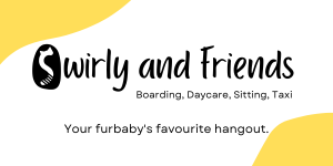 Dog Daycare Subang Jaya | Swirly and Friends
