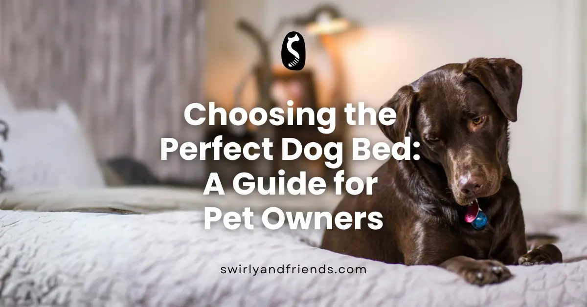 Choosing the Perfect Dog Bed: A Guide for Pet Owners
